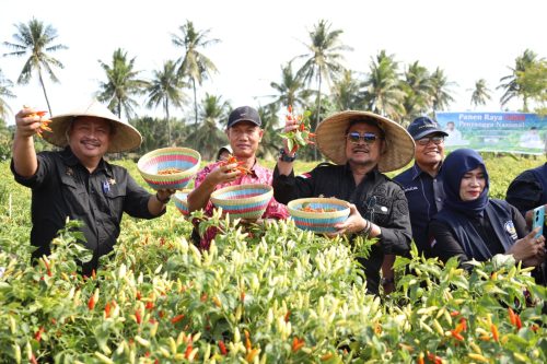 Mentan SYL Dukung Penuh Pengembangan Cabai di Lombok Timur - Detik NTB